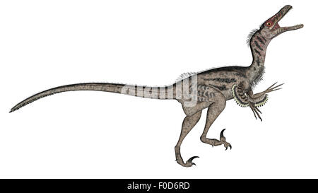 3d Velociraptor dinosaur side view Stock Photo - Alamy
