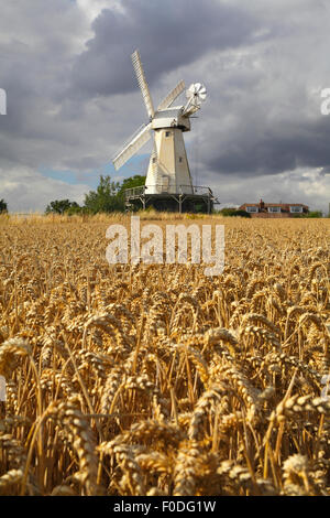 Woodchurch Windmill at Harvest Time, Kent, England, UK Stock Photo - Alamy