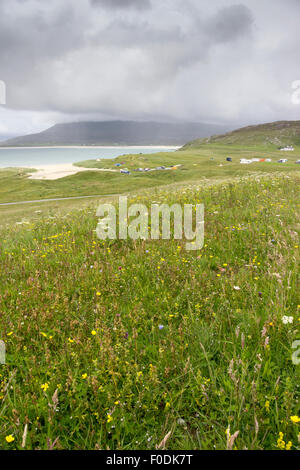 Dune grass, sand and sea, Horgabost beach (Traigh Iar) on the Isle of ...