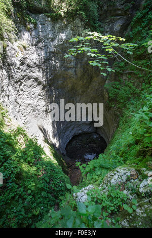 Doline or sinkhole is a hole in the ground caused by a karstic proces ...