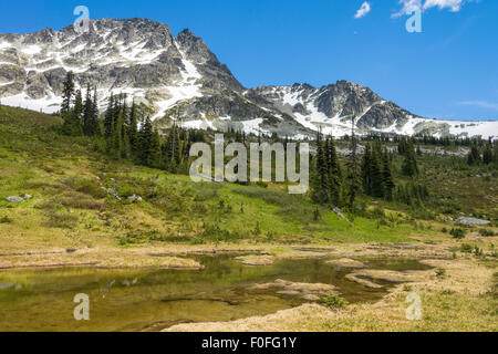 Alpine pond and meadow and peak of Blackcomb Mountain seen from the ...