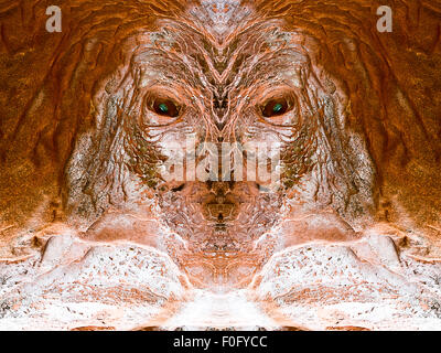 alien face on the wall of sandstone Stock Photo - Alamy