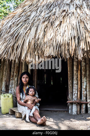 Thatched roof of a traditional house. Tayrona National Park, Colombia ...