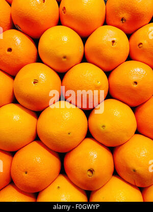 Rows of oranges Stock Photo - Alamy