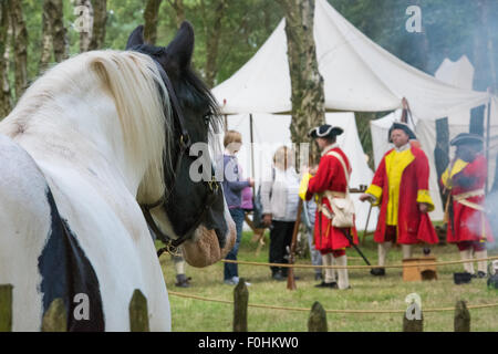 Scottish soldiers in a reenactment of the Jacobite rising of 1745 in ...
