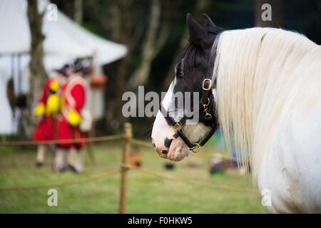 Scottish soldiers in a reenactment of the Jacobite rising of 1745 in ...