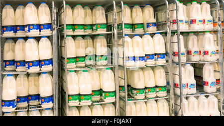 Display of milk at a supermarket Stock Photo - Alamy