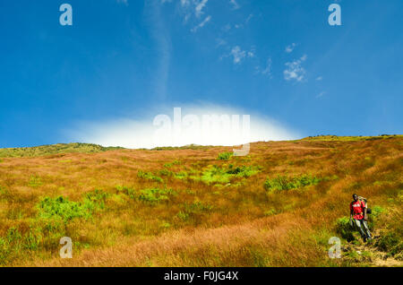 Ascent of Mount Cameroon (Mount Fako), the highest summit of West ...