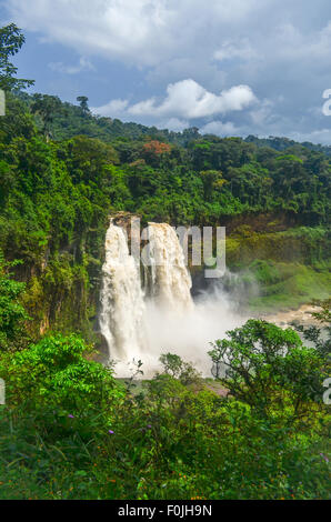 Ekom-Nkam waterfall near Nkongsamba, in Cameroon/Cameroun Stock Photo ...