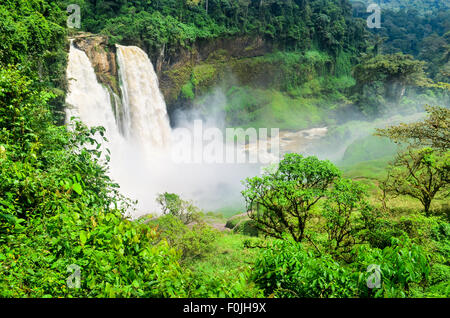 Ekom-Nkam waterfall near Nkongsamba, in Cameroon/Cameroun Stock Photo ...