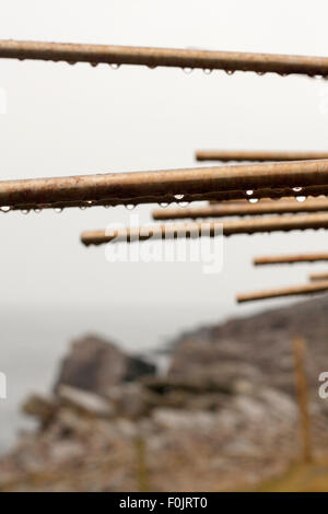 Copper poles with raindrops Stock Photo - Alamy