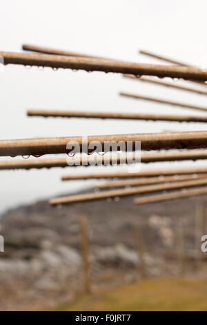 Copper poles with raindrops Stock Photo - Alamy