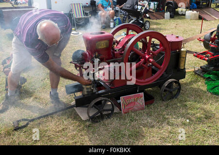 Amanco Stationary Engine on show at the Isle of Wight Garlic Festival ...