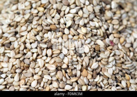 Sesamsamen; Sesam; Sesamum indicum Stock Photo - Alamy