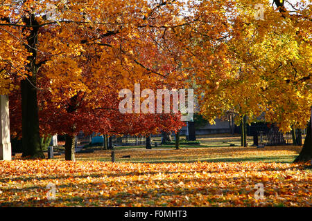 NOVEMBER 2009 - BERLIN: autumn leafs in the Invaliden cemetery in the ...