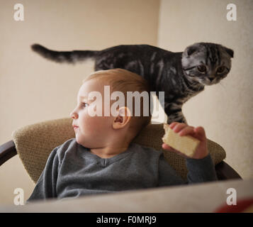 little boy shares food with cat Stock Photo - Alamy