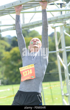Adrenaline Rush Race Bristol England 2015 Stock Photo - Alamy
