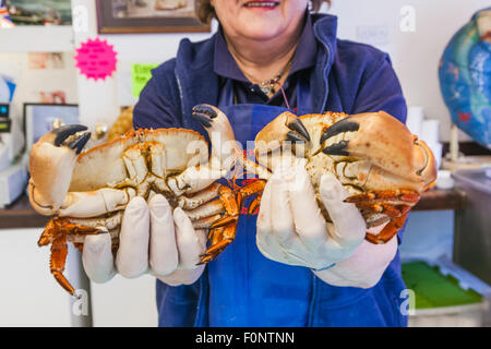 England, Norfolk, Cromer, Fishmonger Holding Cromer Crabs Stock Photo ...