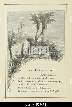 A gift book featuring poetry and songs inspired by the woods, with ...