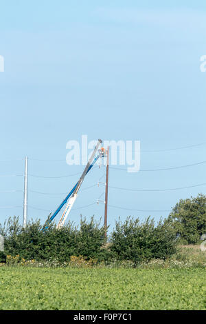 Hydro workers on crane working on power lines just outside Forest ...