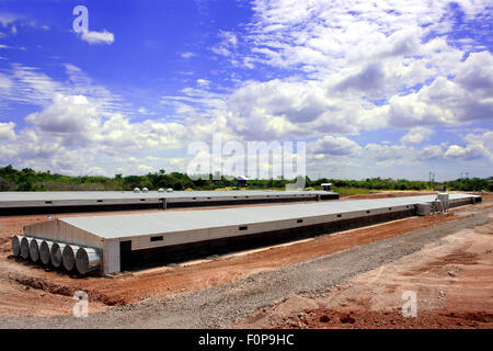 Building farm for chicken poultry houses and barn Philippines ...