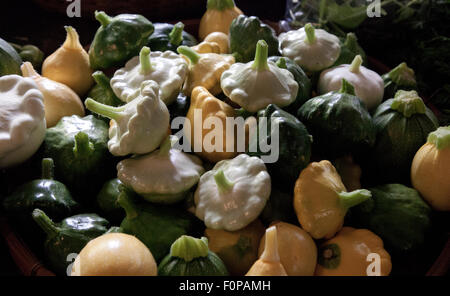 variety of fresh squash Stock Photo - Alamy