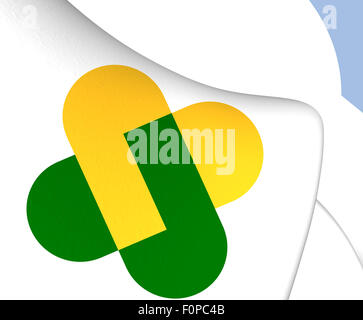 Flag of Champagne-Ardenne, France. Close Up Stock Photo - Alamy