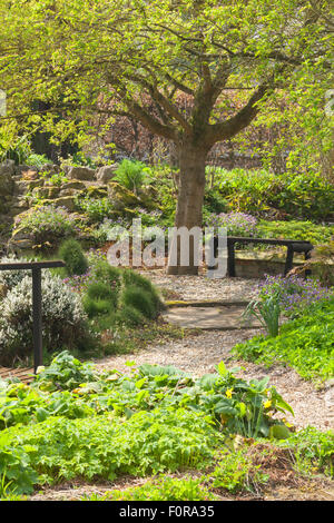 The Fern Nursery, Binbrook, Lincolnshire, UK. Spring, April 2015 Stock ...