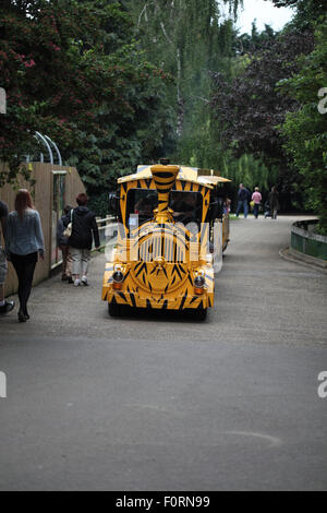 Road train at Banham Zoo Stock Photo - Alamy