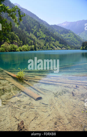 Jiuzhaigou National Park water trees and mountains Stock Photo - Alamy