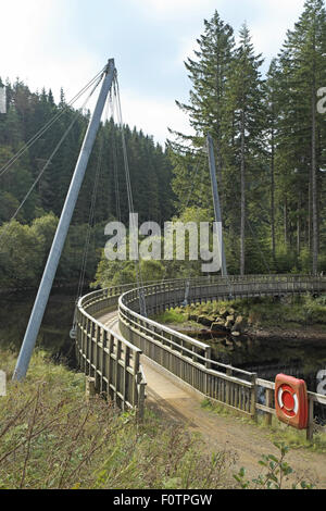 The Lakeside Way path at Kielder Water, Kielder, Northumberland Stock ...