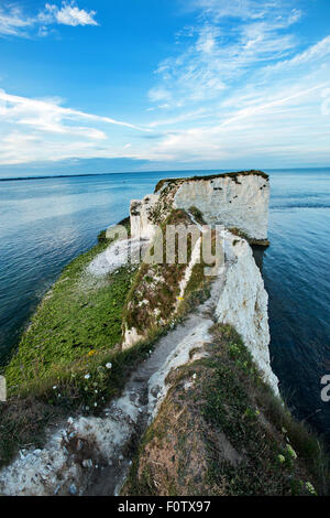 Old Harry Rocks Dorset England UK Jurassic Coast chalk stacks east of ...