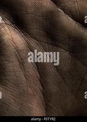 Human skin texture close up. Macro of brown young person clean skin ...