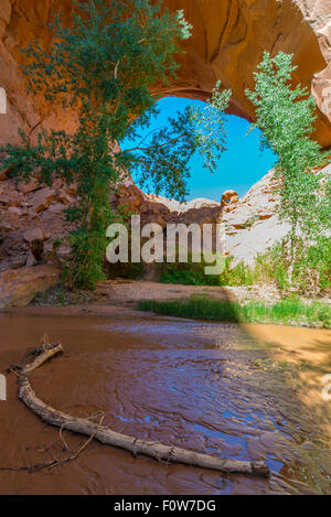 Jacob Hamblin Arch in Coyote Gulch, Grand Staircase-Escalante National ...