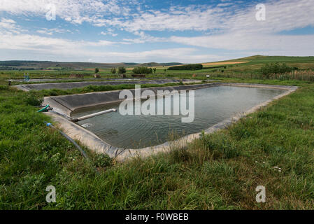 Large dams on a sturgeon farm raising mainly Starry sturgeons Stock ...