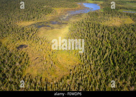 Aerial view of peat bogs and taiga boreal forest, Sjaunja Bird ...