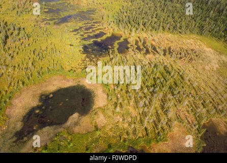 Aerial view of peat bogs and taiga boreal forest, Sjaunja Bird ...