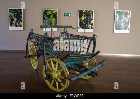 Traditional cart exhibit in the Luzon Bodega, Jumilla, Province of ...