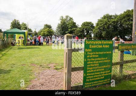 Open Day to raise money at Sunnyside Kennels part of the Birmingham ...