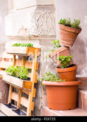 decorative ceramic plant pots stacked together at local garden supplies ...