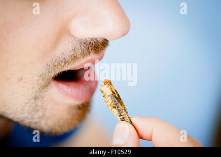 MAN EATING INSECT Stock Photo - Alamy