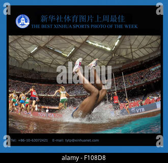 Panama's Rolanda Bell falls at the water jump during a heat in the ...