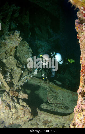 Diver looking at shipwreck "SS Dunraven". Red sea, Egypt, Africa Stock ...