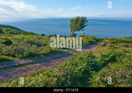 North Hill Minehead, Minehead is a coastal town and civil parish in ...