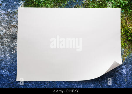 Blank sheet of paper on moss background Stock Photo - Alamy