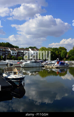 Chiswick Quay Marina Stock Photo - Alamy