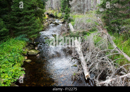 Modravsky potok, Modrava stream, National Park Sumava, Czech Republic ...