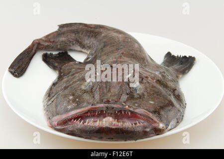 Whole fresh monkfish on a plate Stock Photo - Alamy
