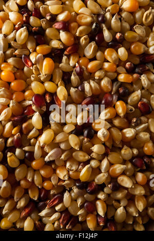 Raw Organic Multi Colored Calico Popcorn in a Bowl Stock Photo - Alamy