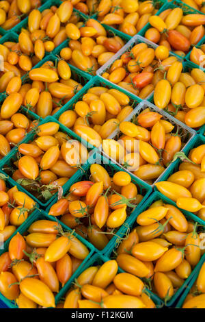 Organic yellow Roma tomatoes Stock Photo - Alamy